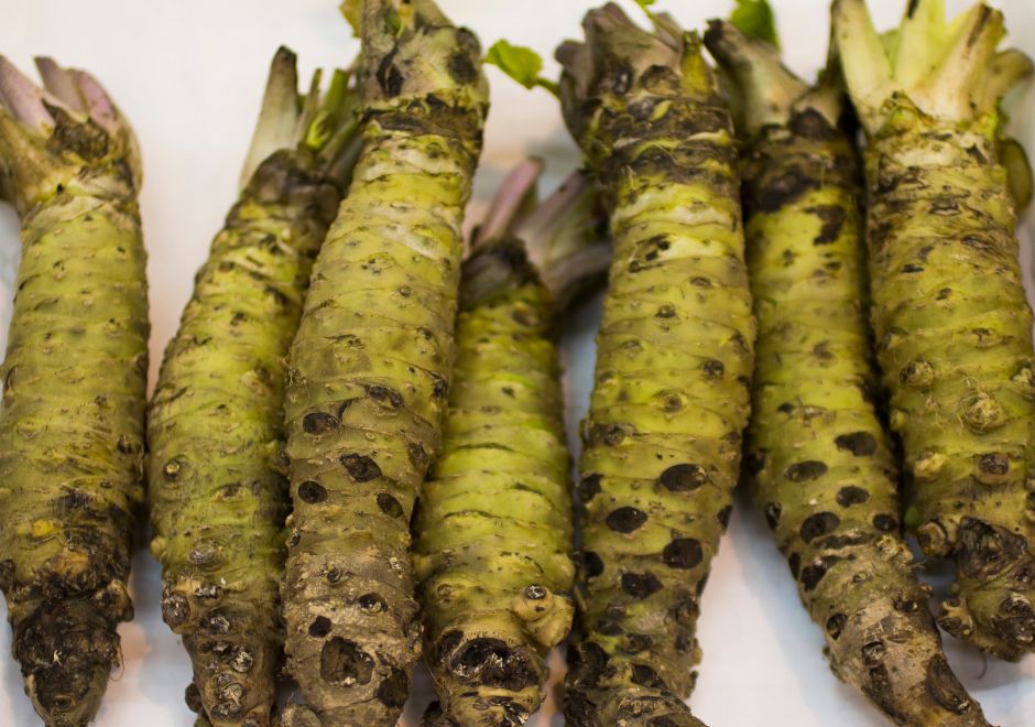 Real Wasabi vs. Fake | CulinaryLore