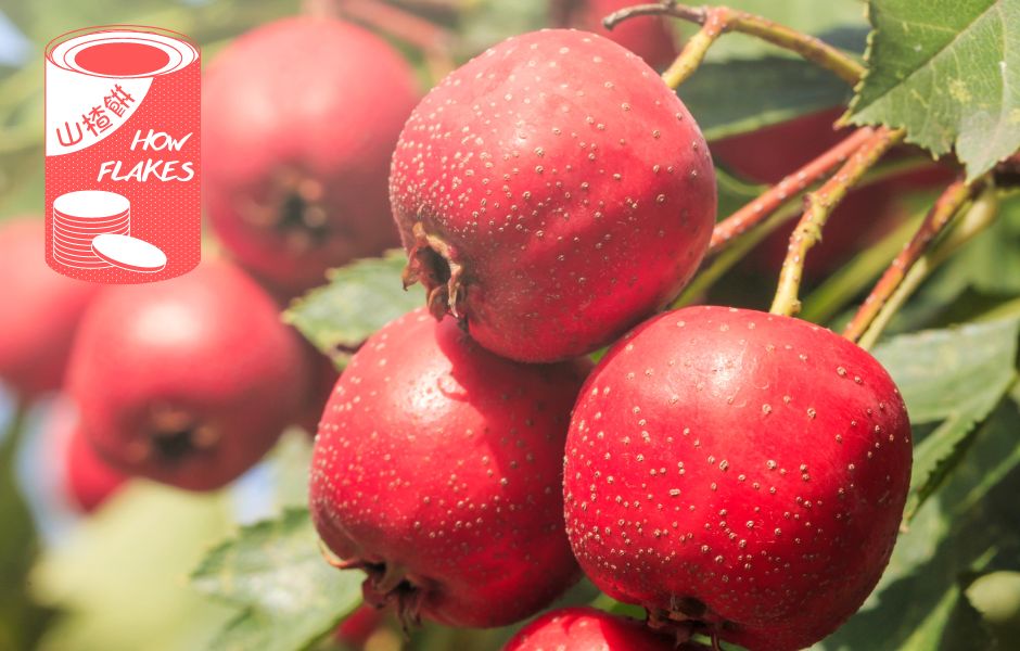 Is Shellac Used to Make Jelly Beans Shiny? | CulinaryLore