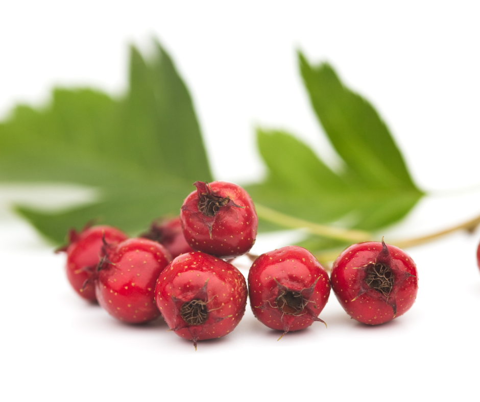 Haw Flakes Candy Banned from U.S.? | CulinaryLore