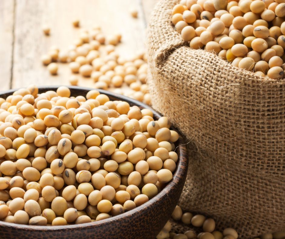 What is the Origin of the Word Soy in Soy Sauce? | CulinaryLore