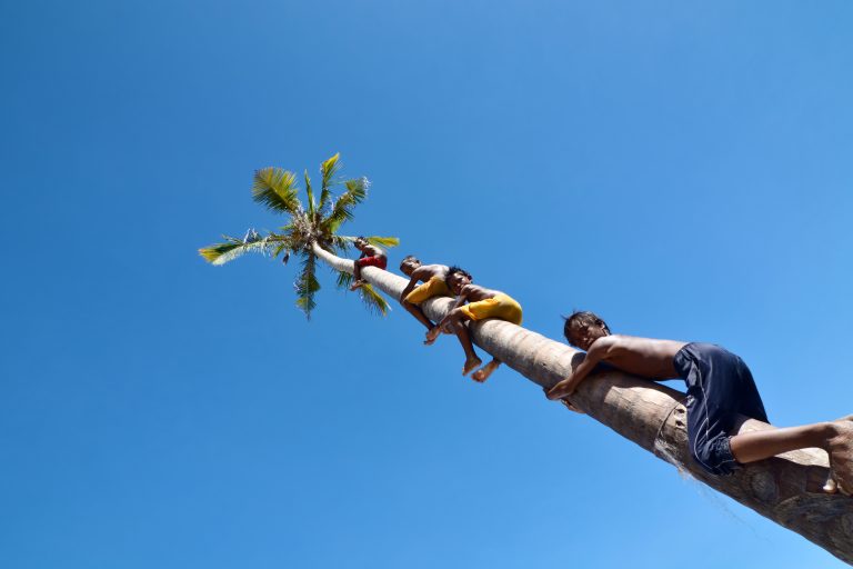 Do Falling Coconuts Really Kill 150 People a Year? | CulinaryLore