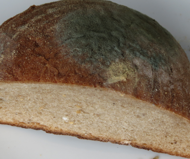 Mold on Foods: Remove and Eat or Discard? | CulinaryLore