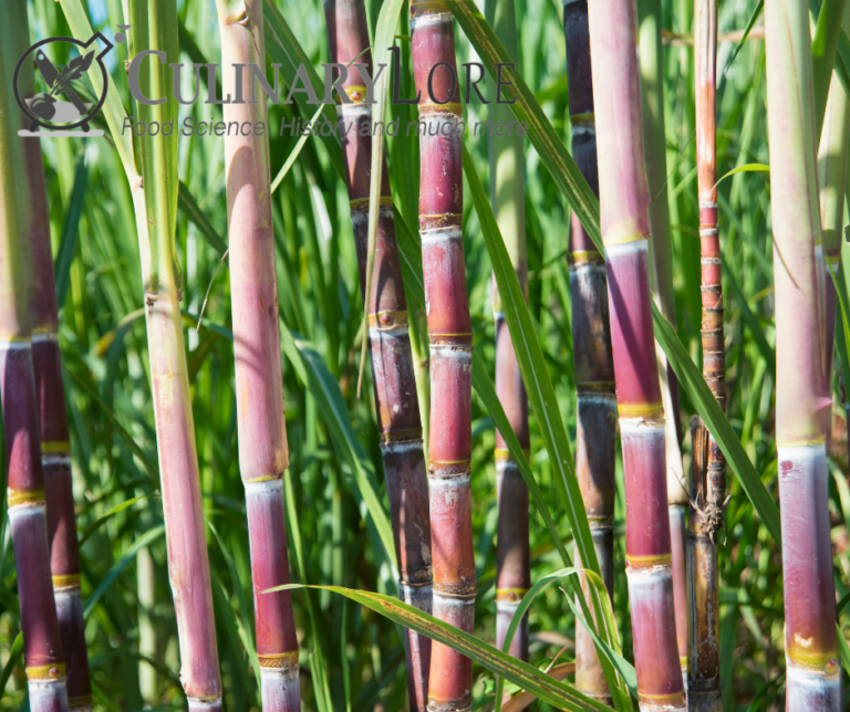 How Is Sugar Made? What Kinds of Sugar Are There? | CulinaryLore